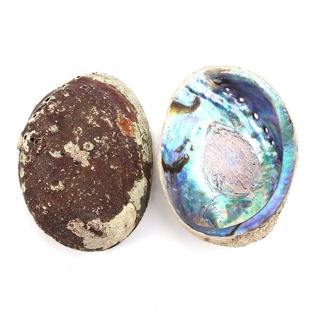 Kit de fumigation amérindien – Esoteria.shop